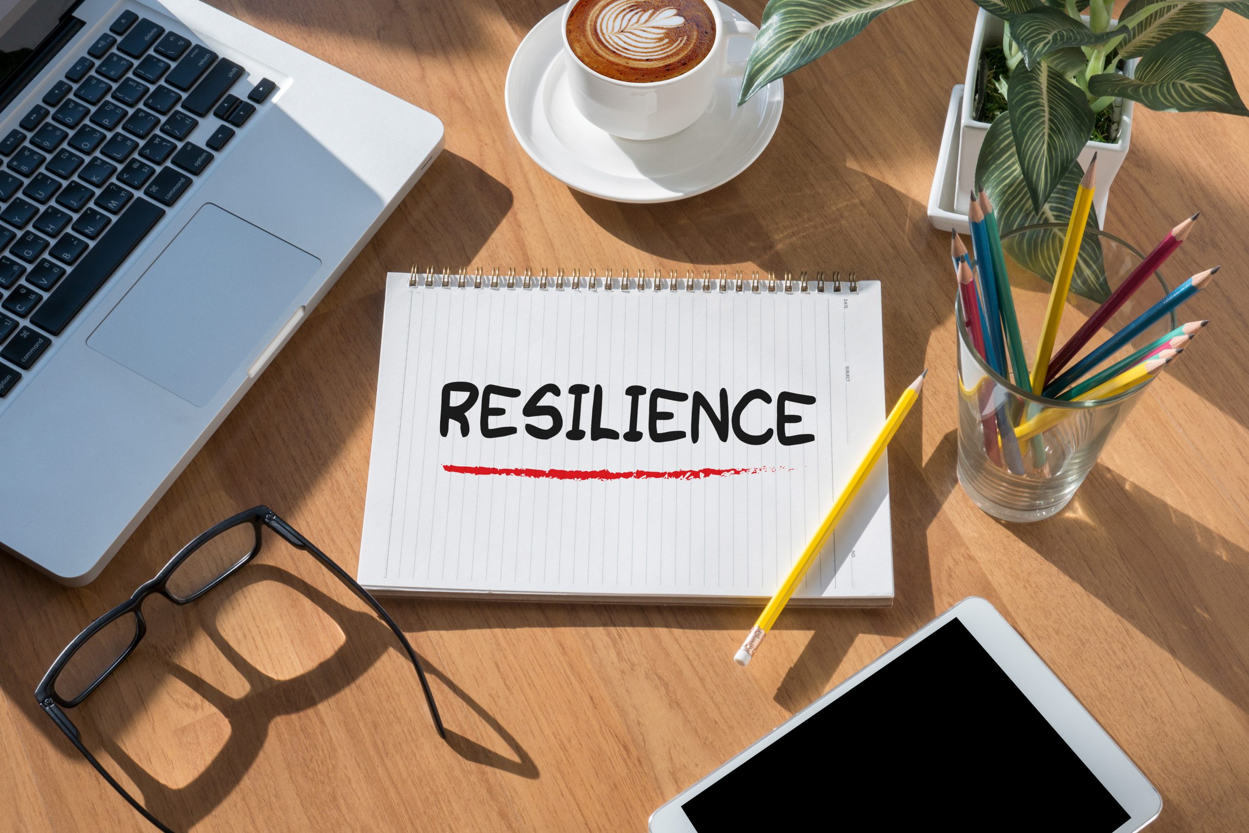 What Makes Us Resilient? - Authentika Consulting